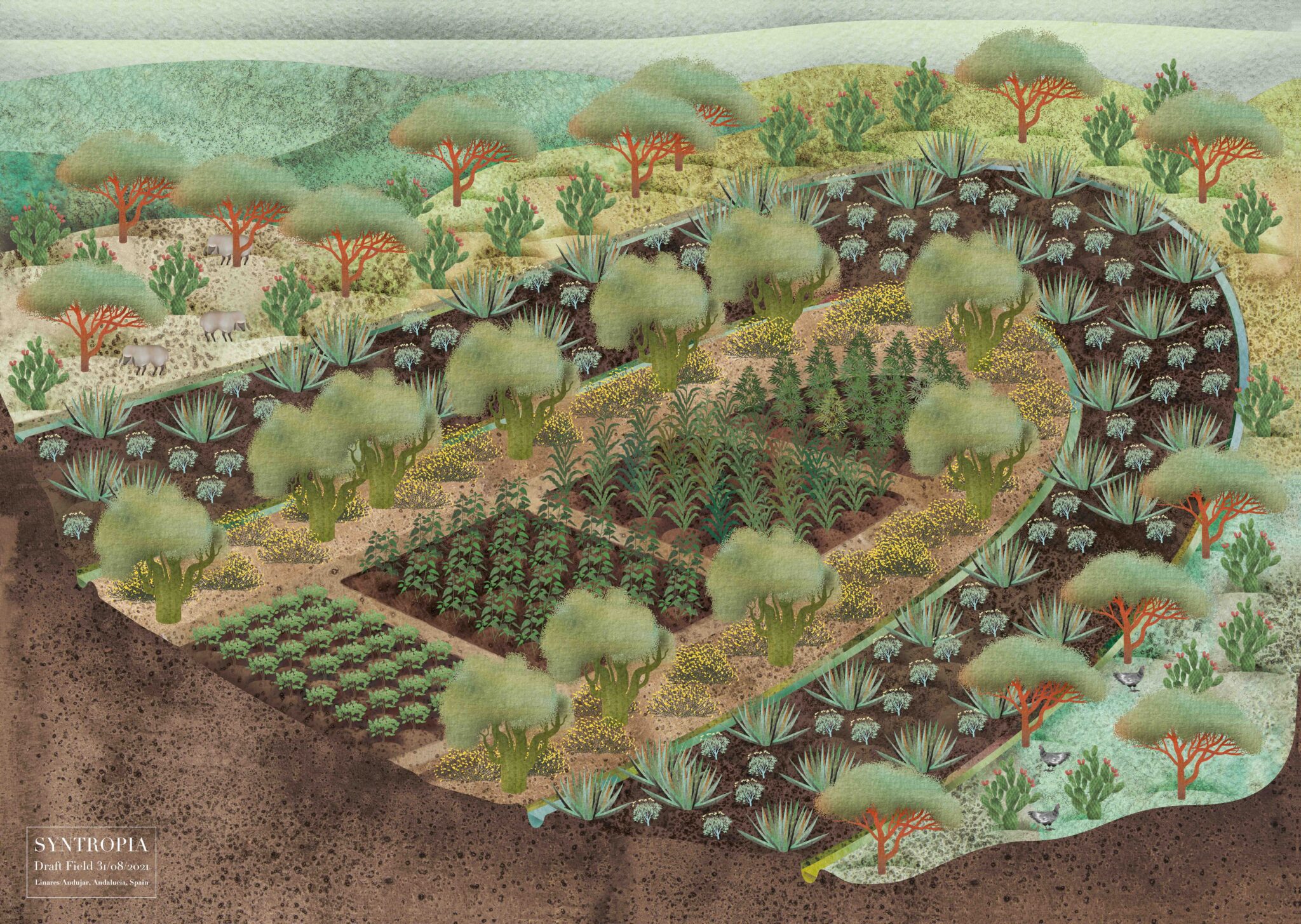 Syntropia – the field – Re-FREAM